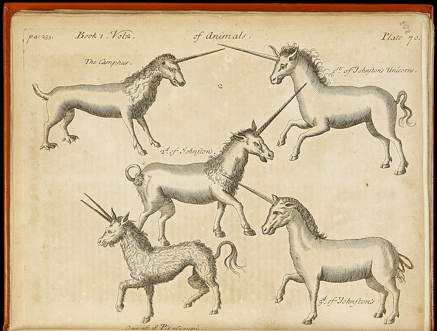 U, u: Unassuming Unicorns | Bag of Anything